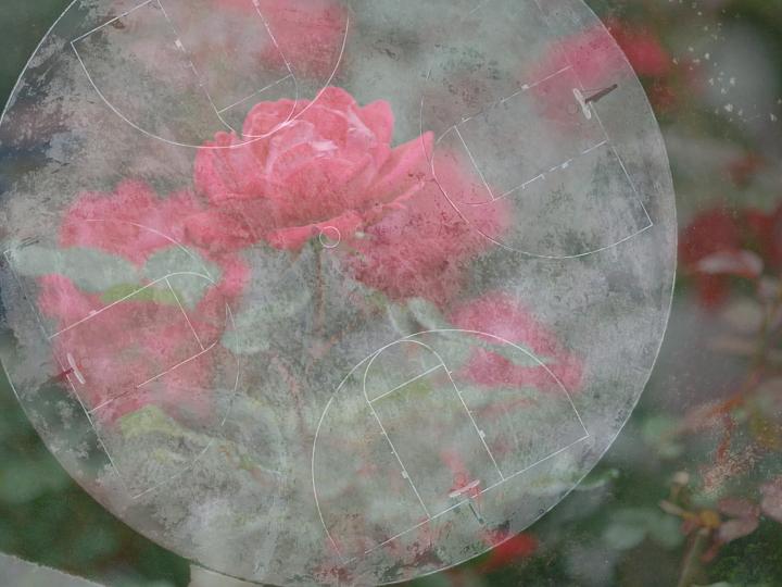 Joe Namy: Heavy with Love | Brooklyn Public Library